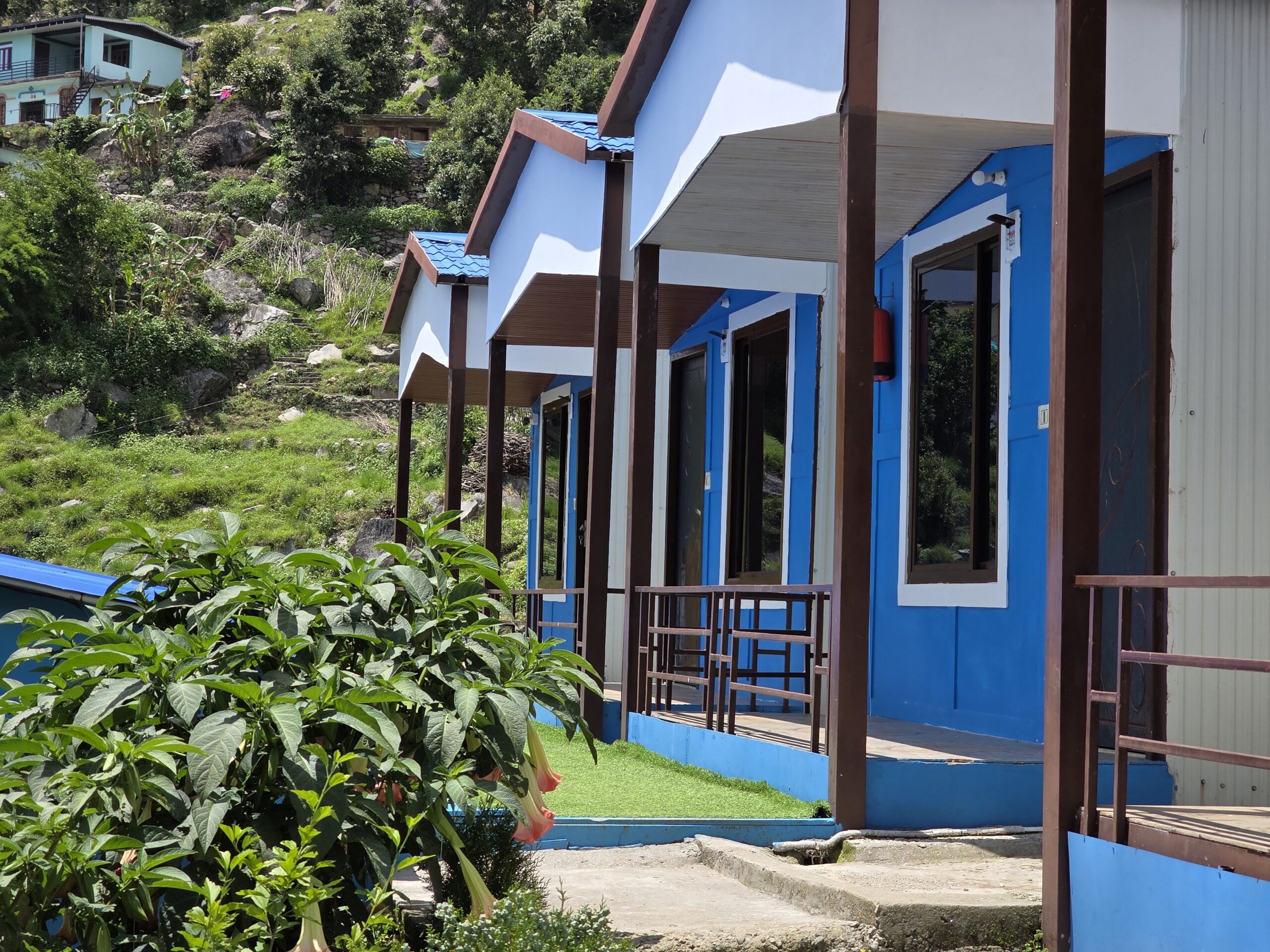 Chopta Camping Guide 2025: Best Sites and Eco-Friendly Tips