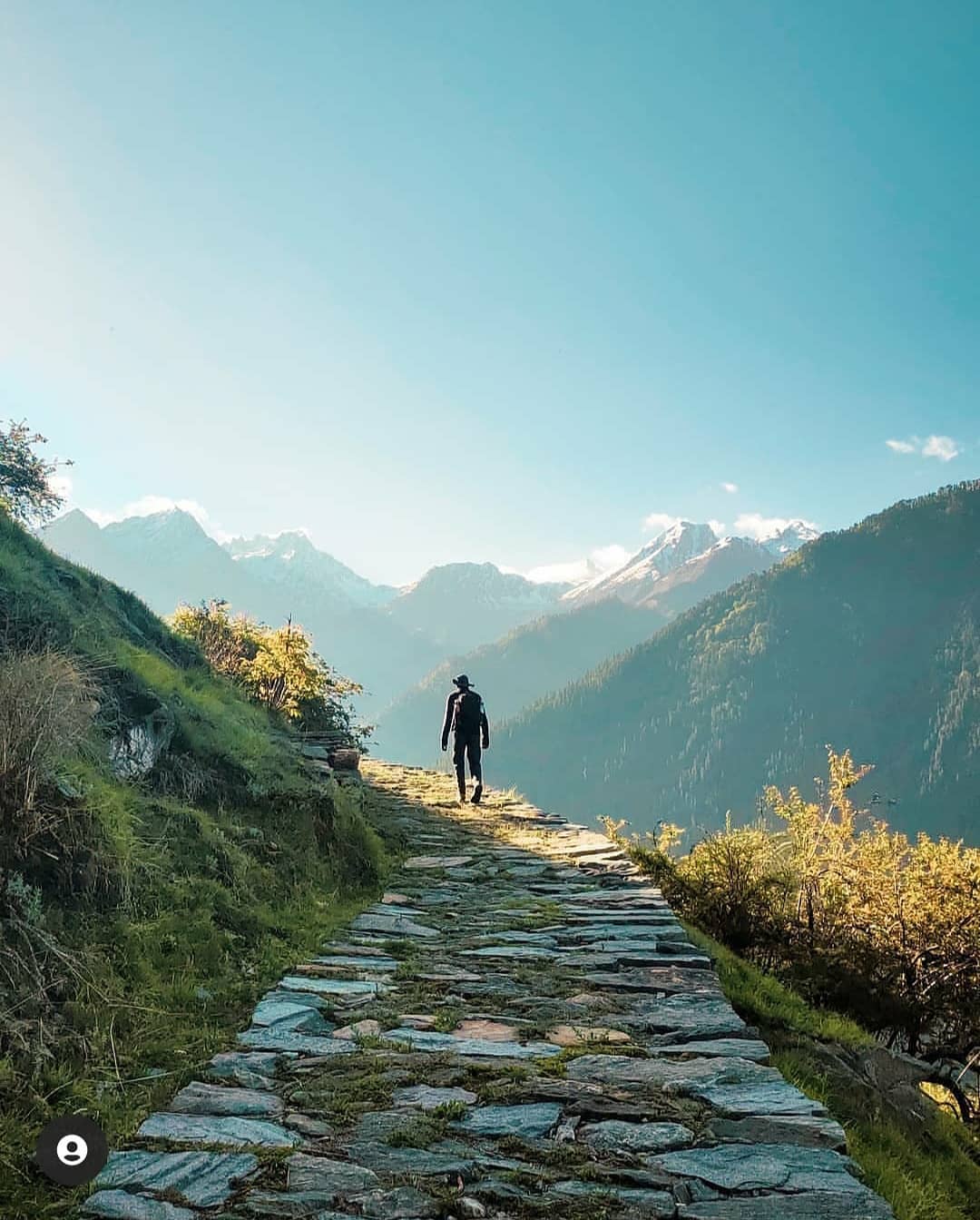 From Ransi to Madhyamaheshwar: A Soulful Trek Through the Himalayas
