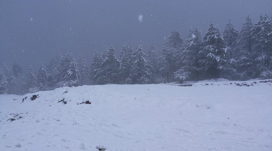 Top Things to Do in Chakrata During Winter Season