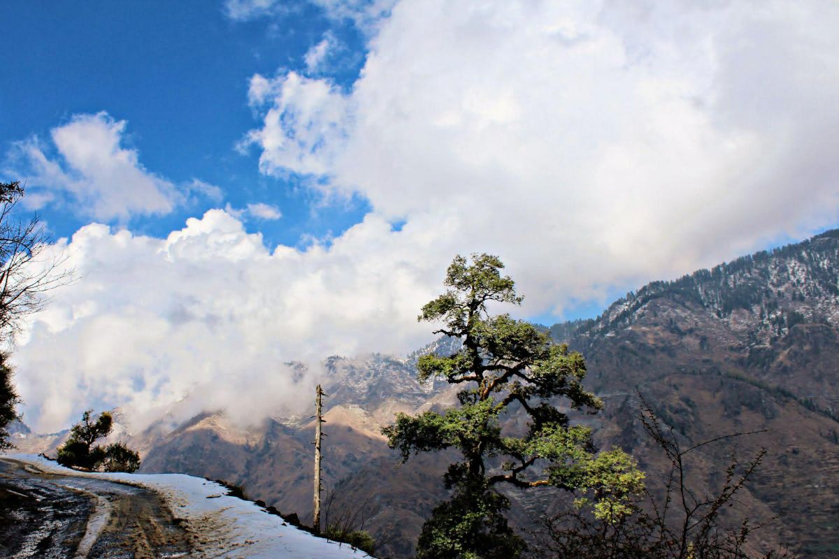 Your Ultimate Guide to Experiencing Snowfall in Chakrata
